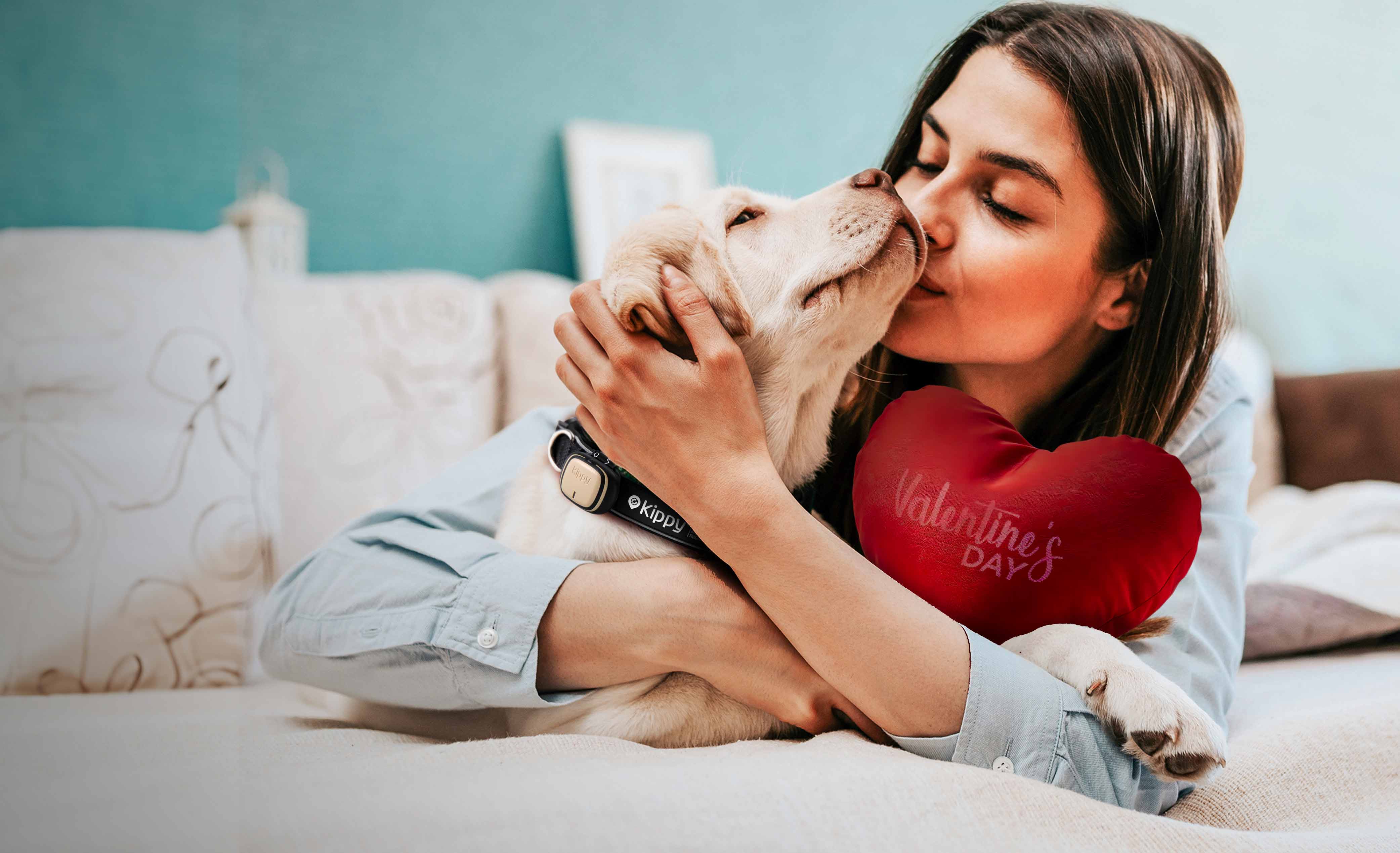 GPS locator for dogs and cats: locate your pet | Kippy