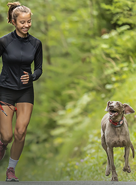 GPS locator for dogs and cats: locate your pet | Kippy