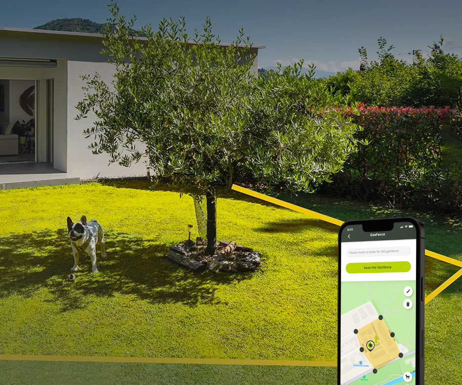 GPS locator for dogs and cats: locate your pet | Kippy