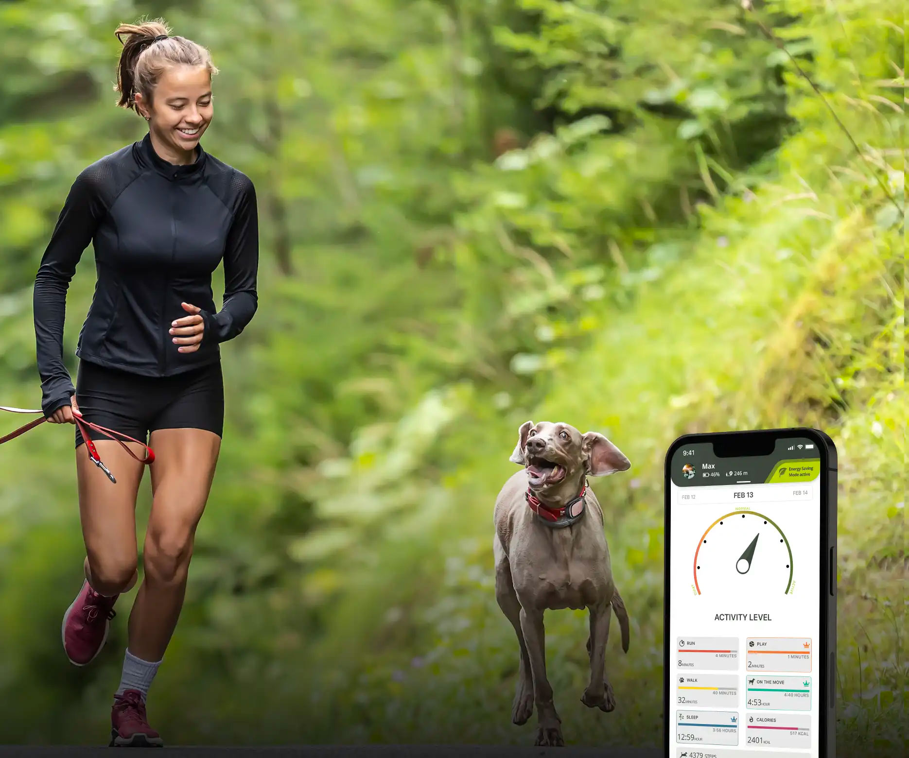 Kippy EVO Brown Wood: GPS dogs and cats activity tracker | Kippy