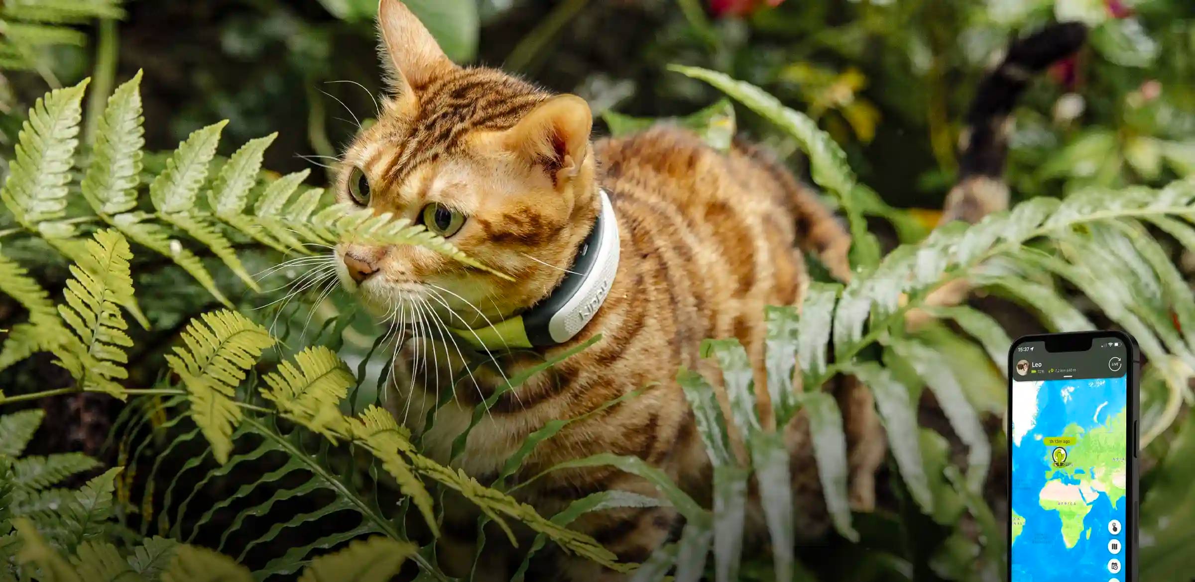 GPS tracker for cats Kippy CAT | Kippy