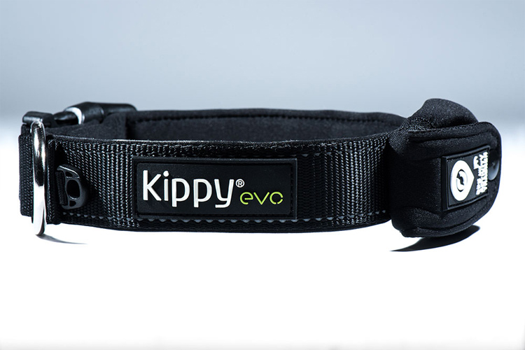 Bundle Kippy EVO Green Forest + Collare regolabile per Kippy Evo | Kippy