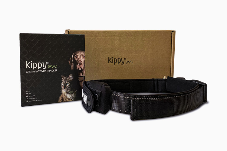 Bundle Kippy EVO Green Forest + Collare regolabile per Kippy Evo | Kippy